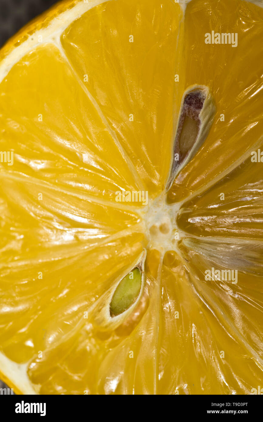 Lemon Cross Section Close Up High Resolution Stock Photography and ...