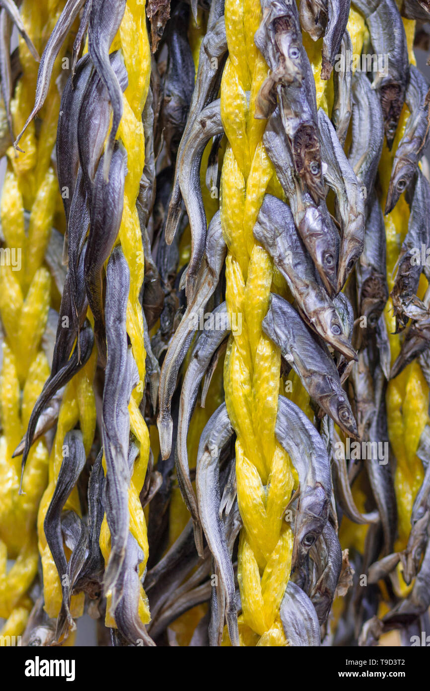 Fish on strings hi-res stock photography and images - Alamy