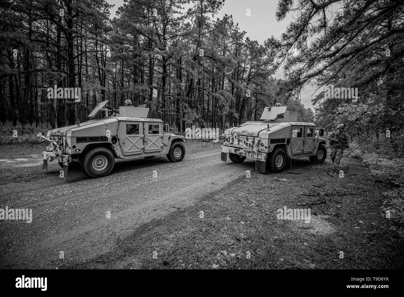 Joint training exercise Black and White Stock Photos & Images - Alamy
