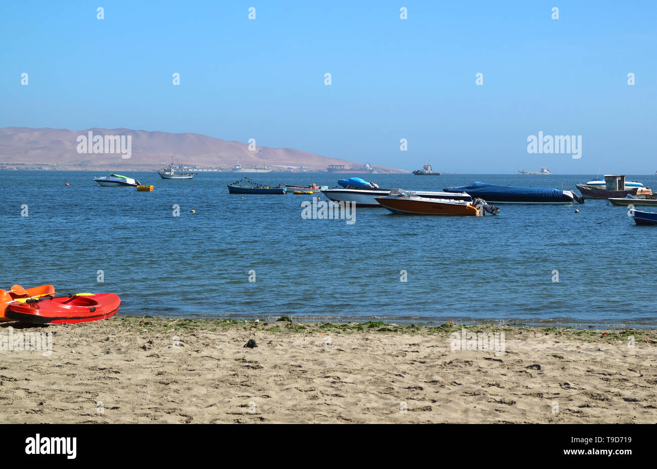 Bay of paracas hi-res stock photography and images - Alamy