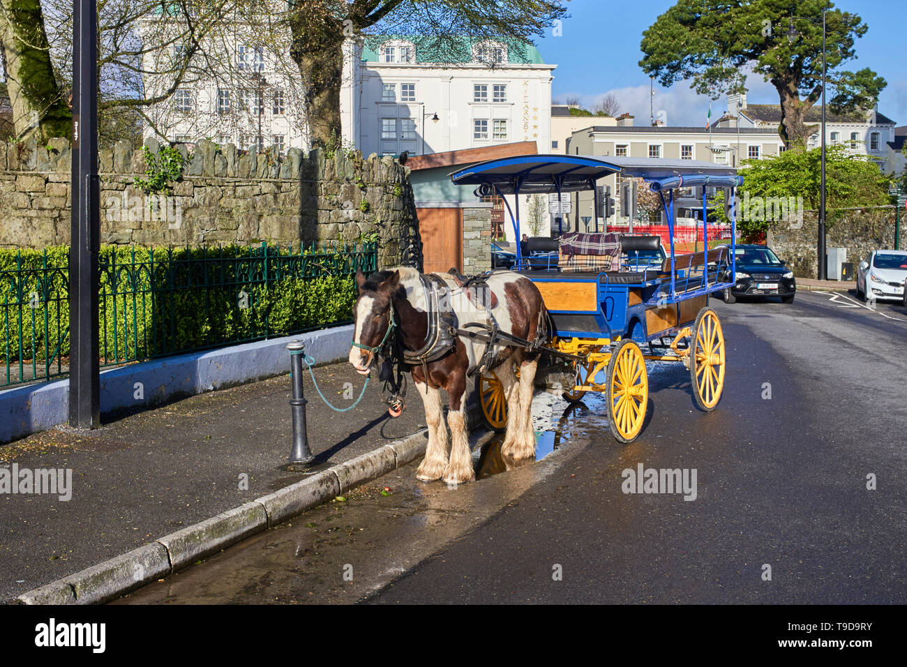 Killarney jaunting car hi-res stock photography and images - Alamy