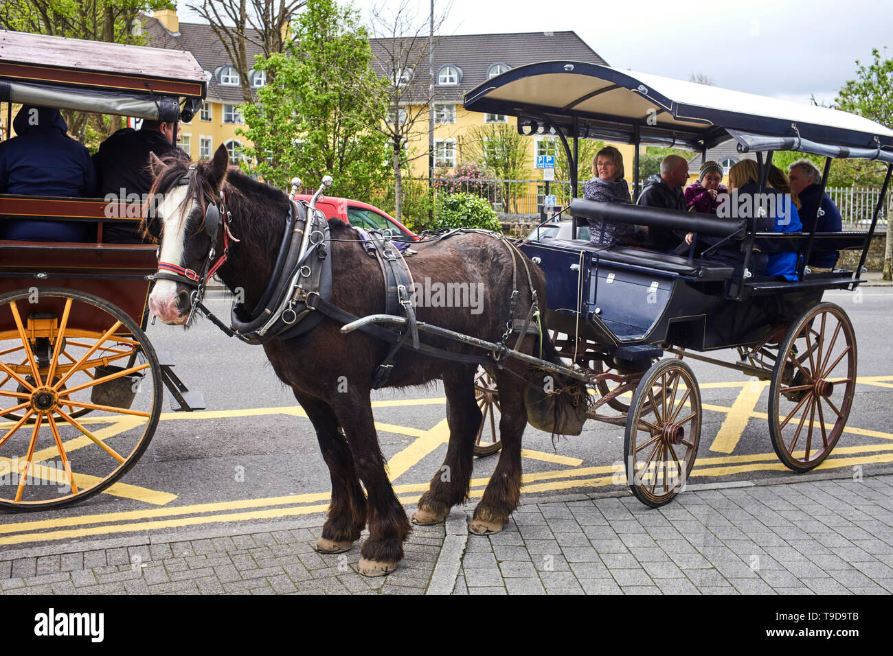 Killarney jaunting car hi-res stock photography and images - Alamy