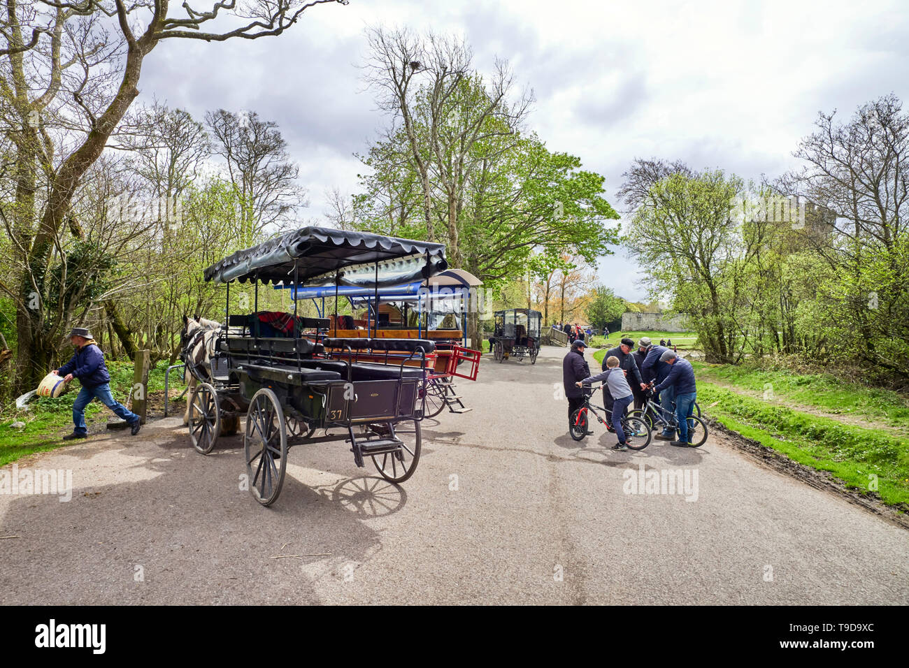 Jaunting carts ireland hi-res stock photography and images - Alamy