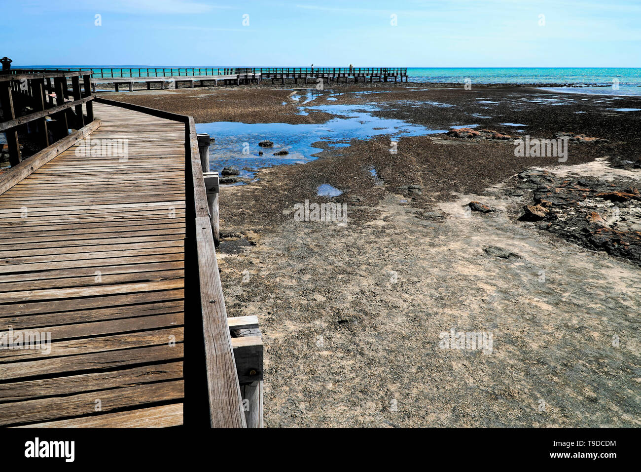 Hamelin Pool Marine Nature Reserve is a protected marine nature reserve ...