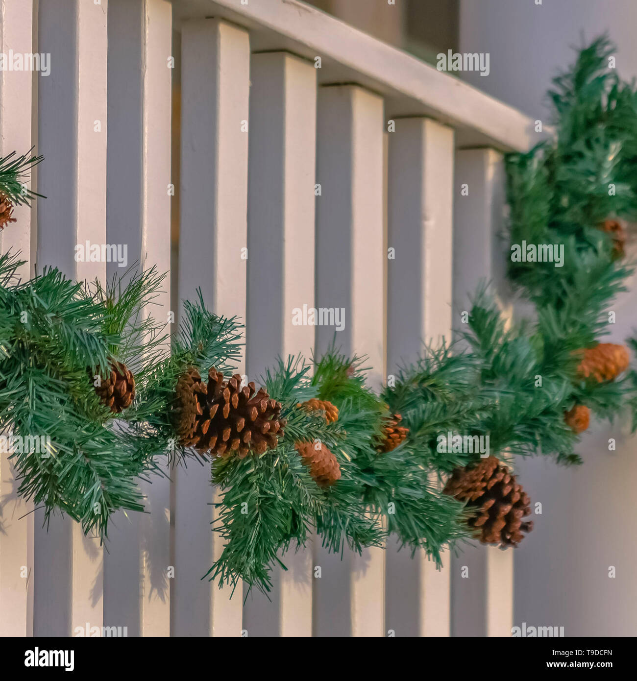 Clear Square Traditional garland with pine cones draped on the white ...
