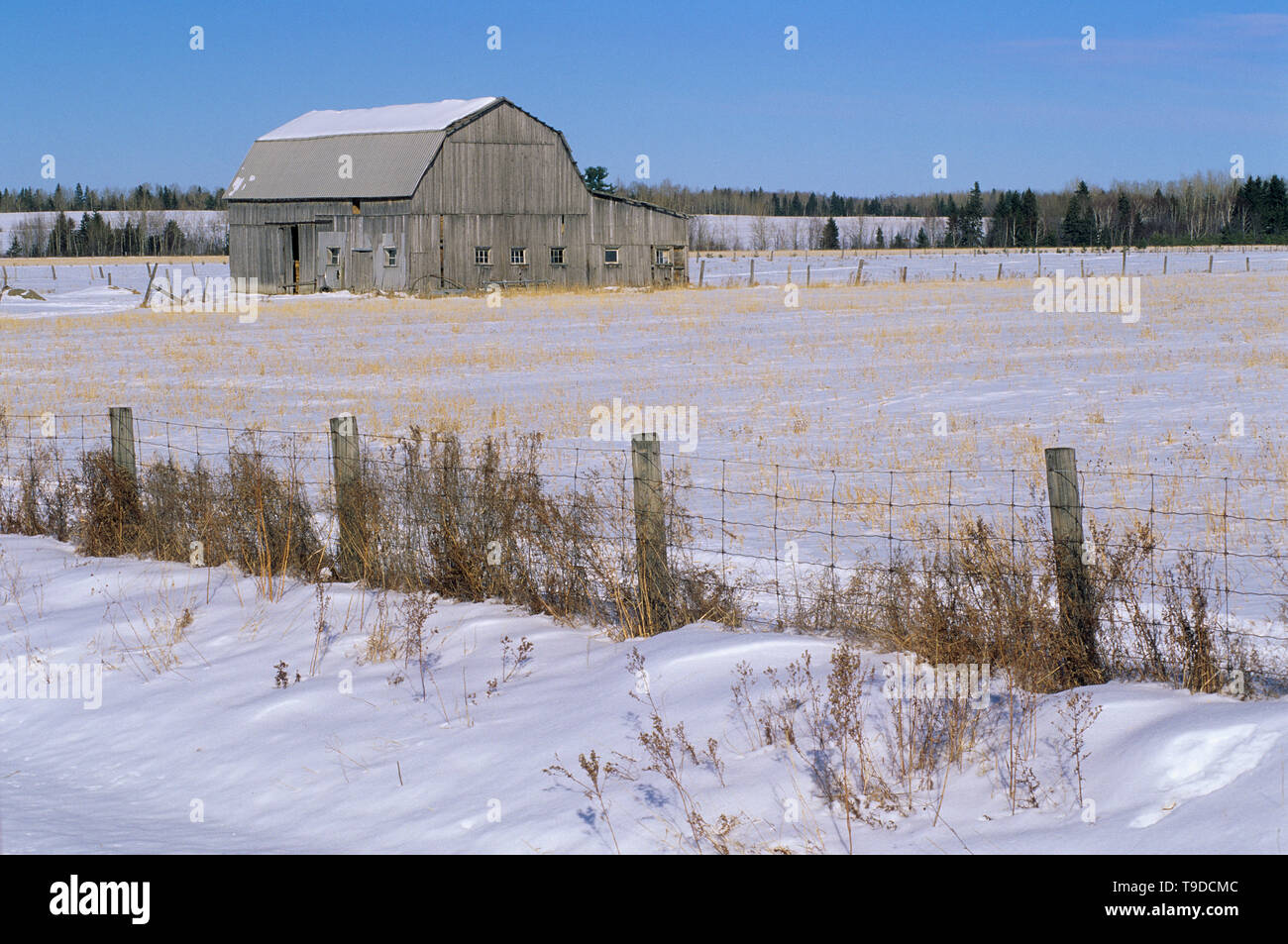 Old barn Near Ottawa, Ontario, Canada Stock Photo - Alamy