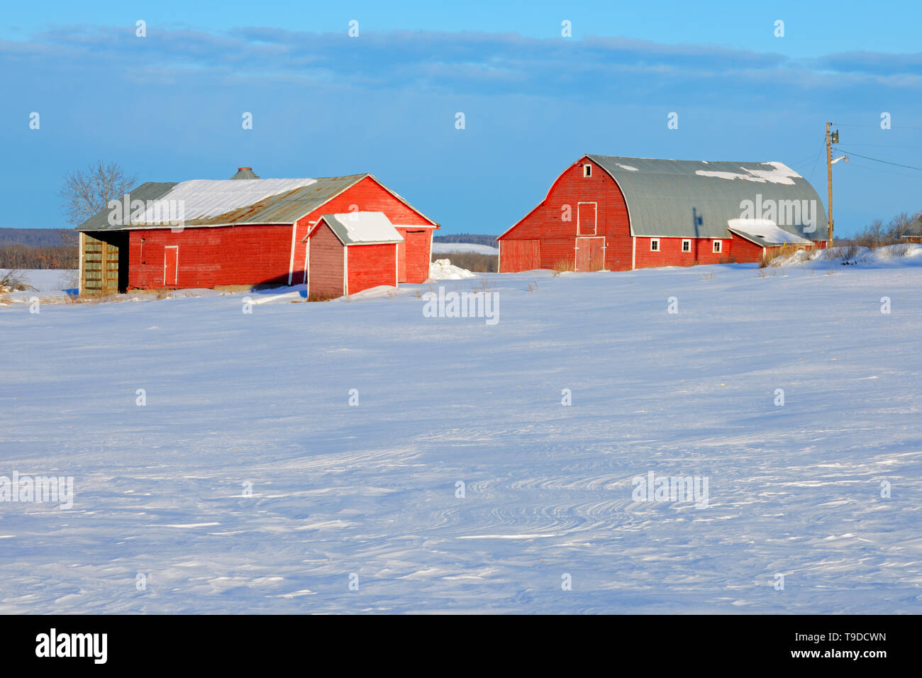 Canada prairie barn winter hi-res stock photography and images - Alamy