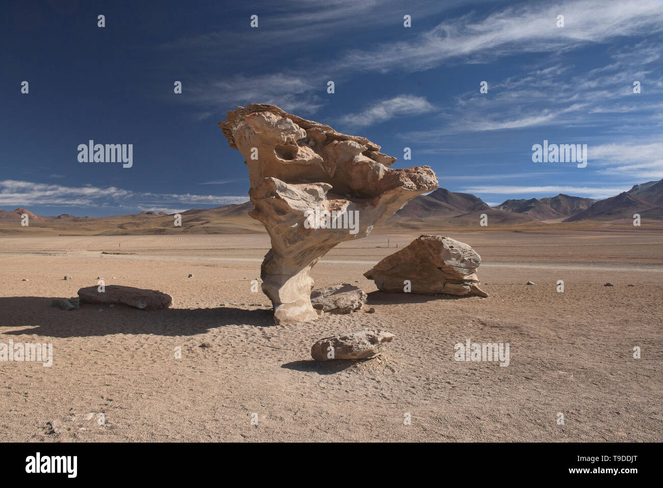 Arbol de la piedra hi-res stock photography and images - Alamy