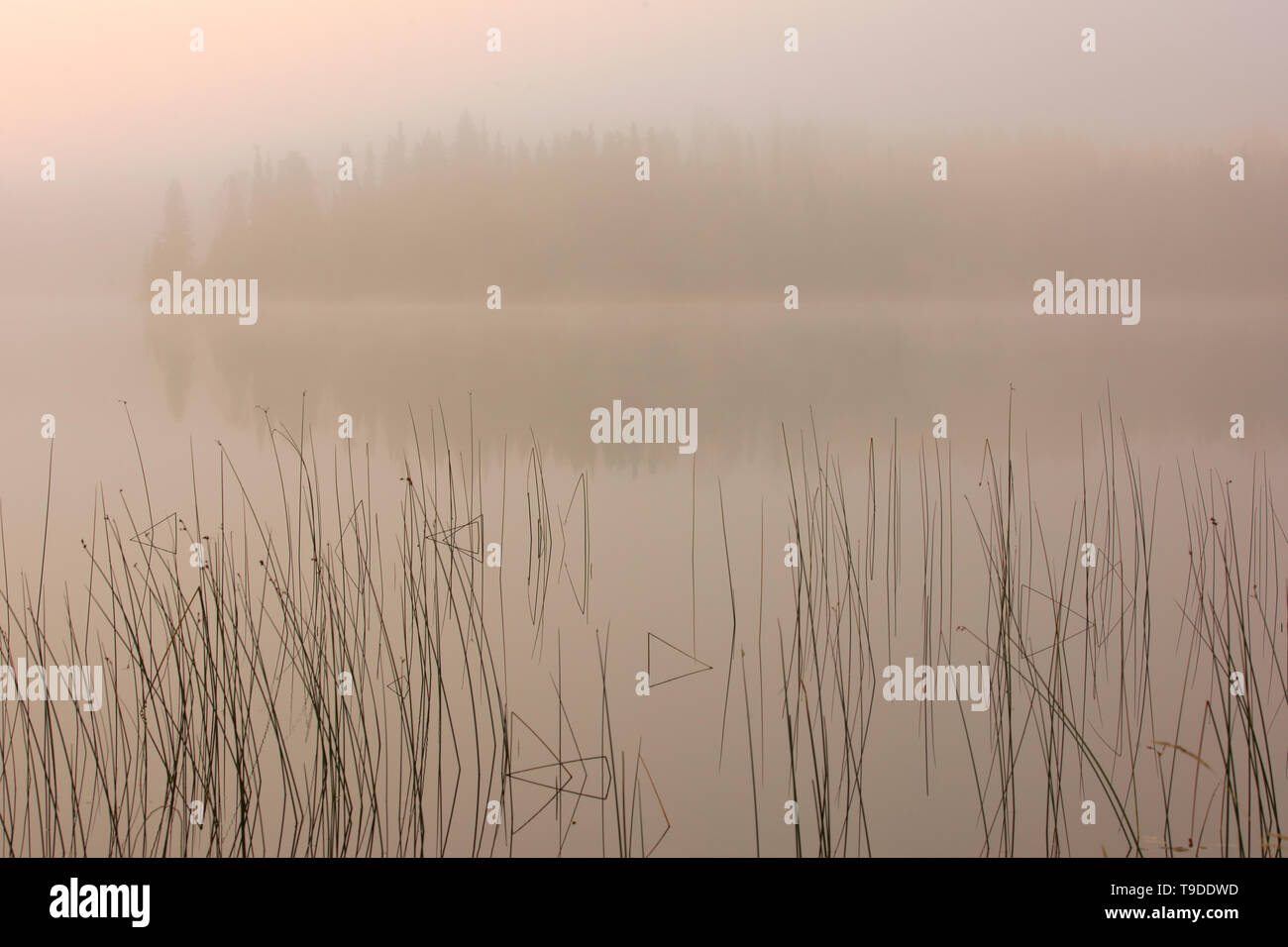 Longlac hi-res stock photography and images - Alamy