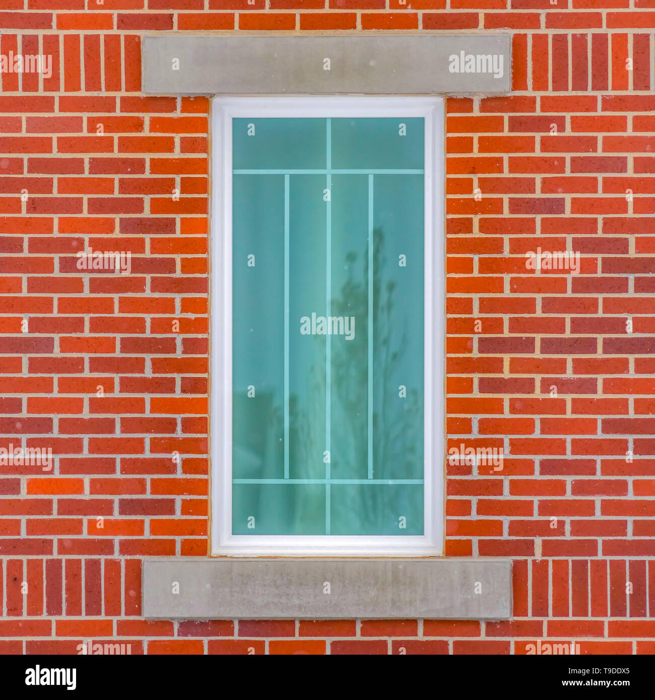 Clear Square Close up of the rectangular window of a building with red ...