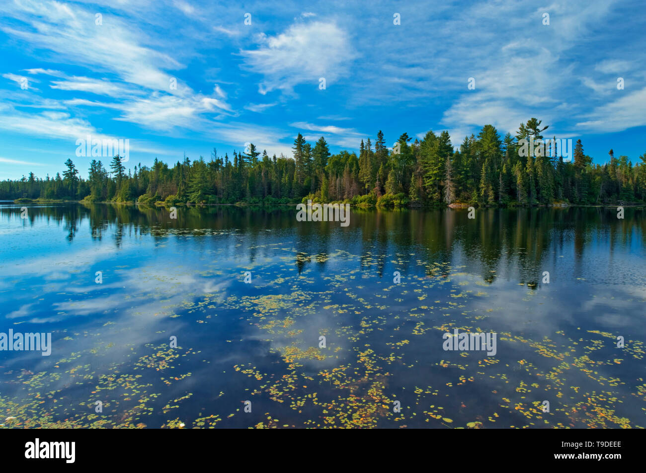 North boreal forest hi-res stock photography and images - Alamy