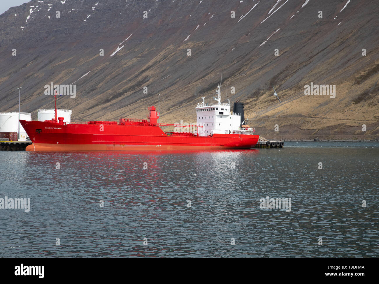Container ship moored in Ísafjörður port, Iceland Stock Photo - Alamy