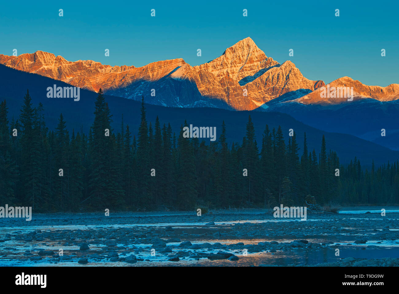 Autumn on the canadian prairie hi-res stock photography and images - Alamy