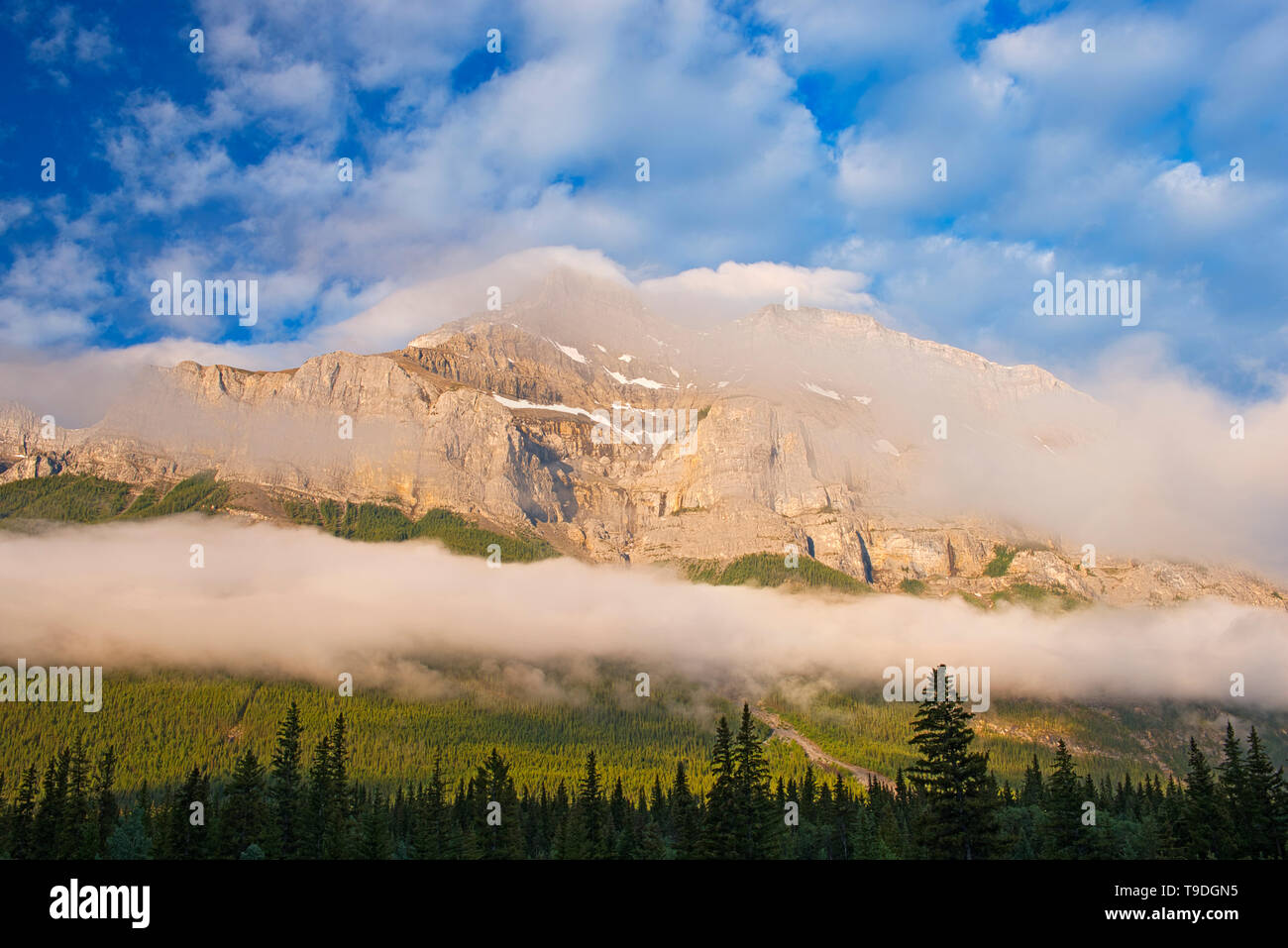 Morning fog on Cascade Mountain Banff National Park Alberta Canada ...