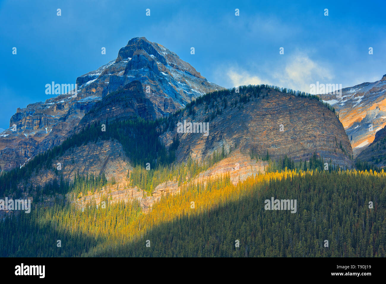 Mt. Whyte (left) and the Beehive (right) behind Lake Louise in the ...