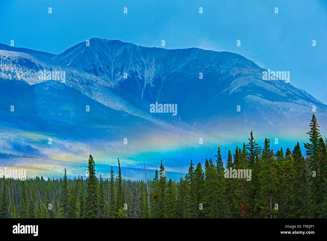 David thompson canada hi-res stock photography and images - Alamy