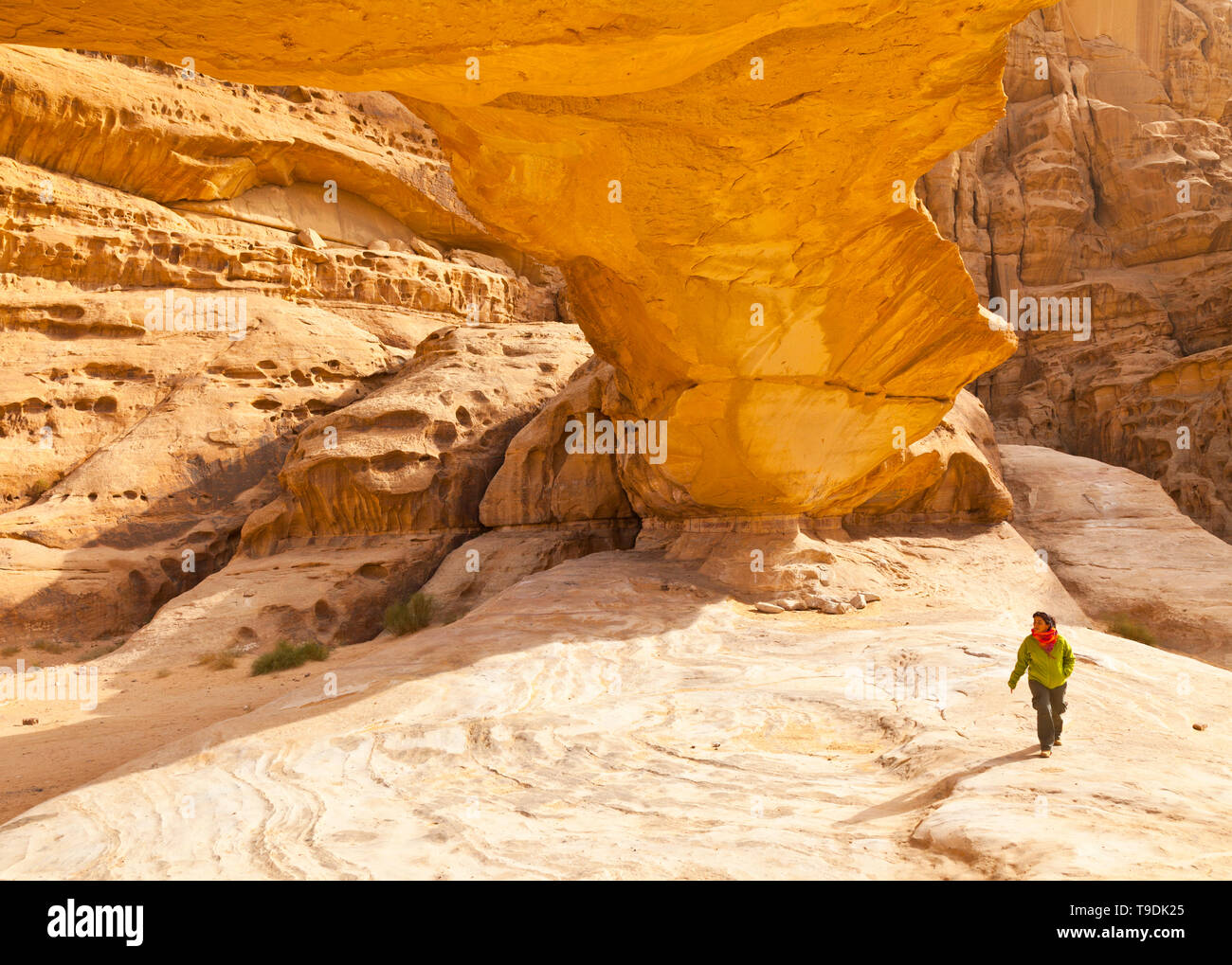Arcos del desierto hi-res stock photography and images - Alamy