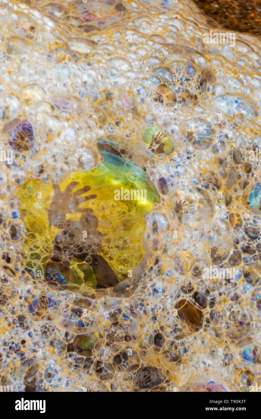 bubbles with an image inside or image inside a bubble or reflection ...