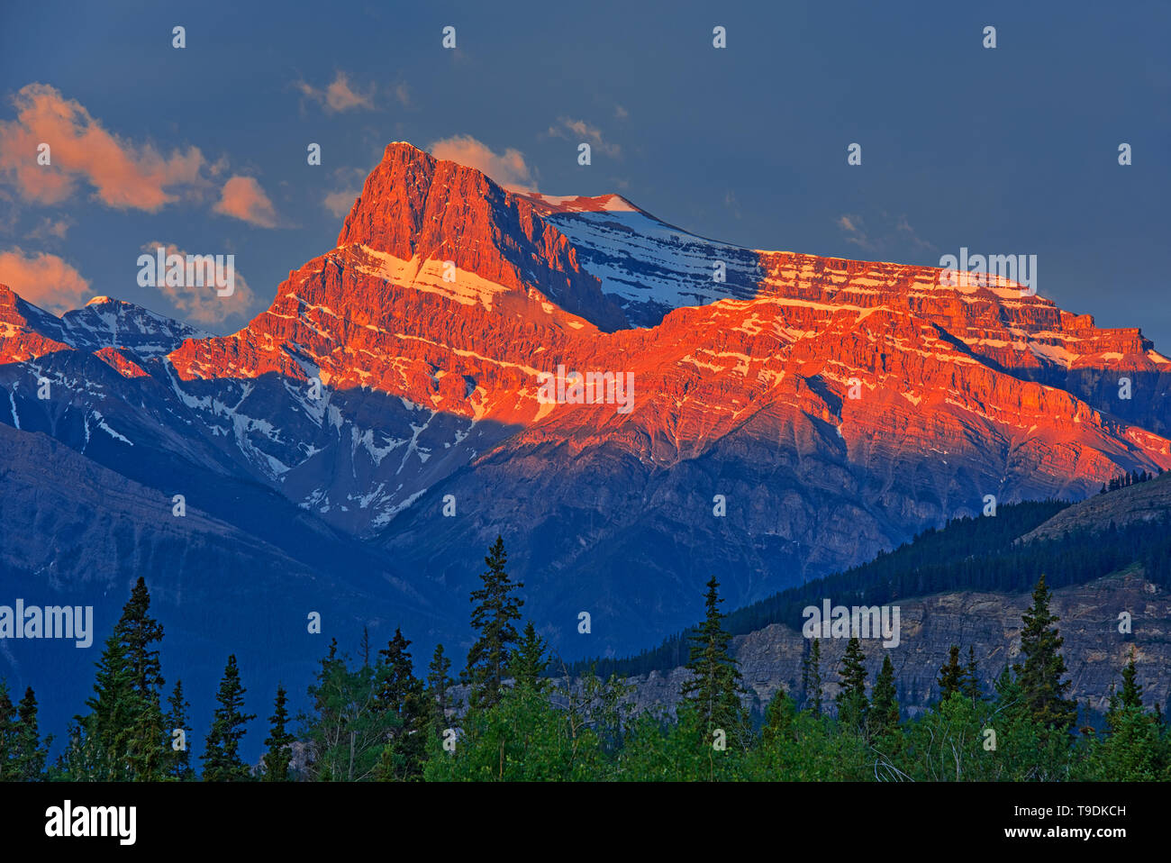 Canadian Rocky Mountains at sunrise. Along the David Thompson Highway ...