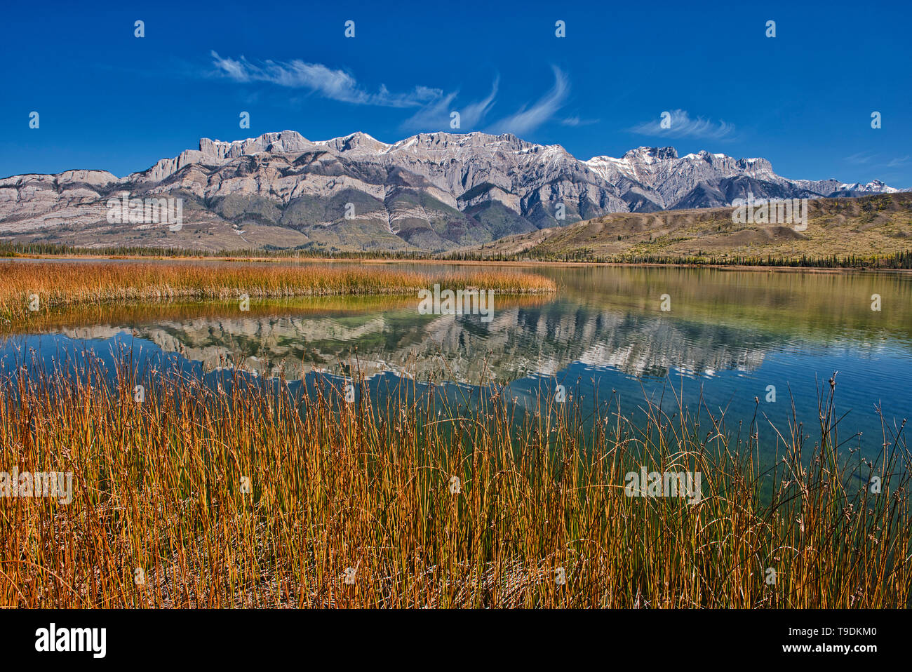 Talbot Lake Jasper National Park Alberta Canada Stock Photo - Alamy
