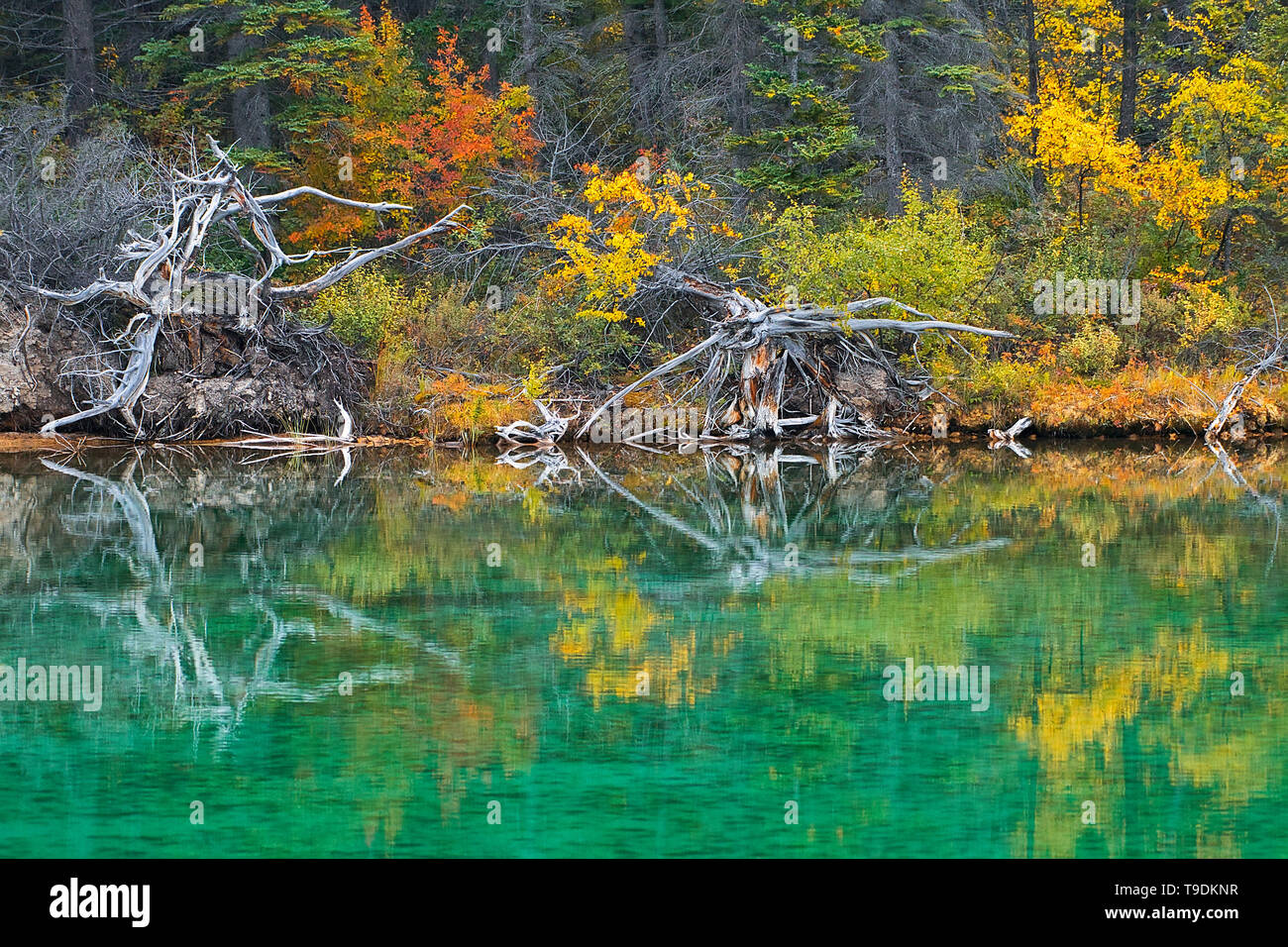 Talbot and jasper lakes hi-res stock photography and images - Alamy