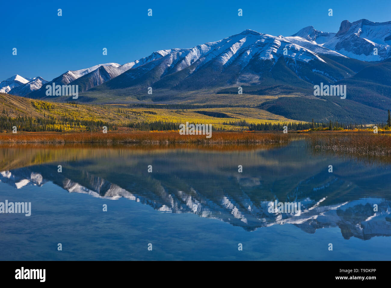 Talbot and jasper lakes hi-res stock photography and images - Alamy
