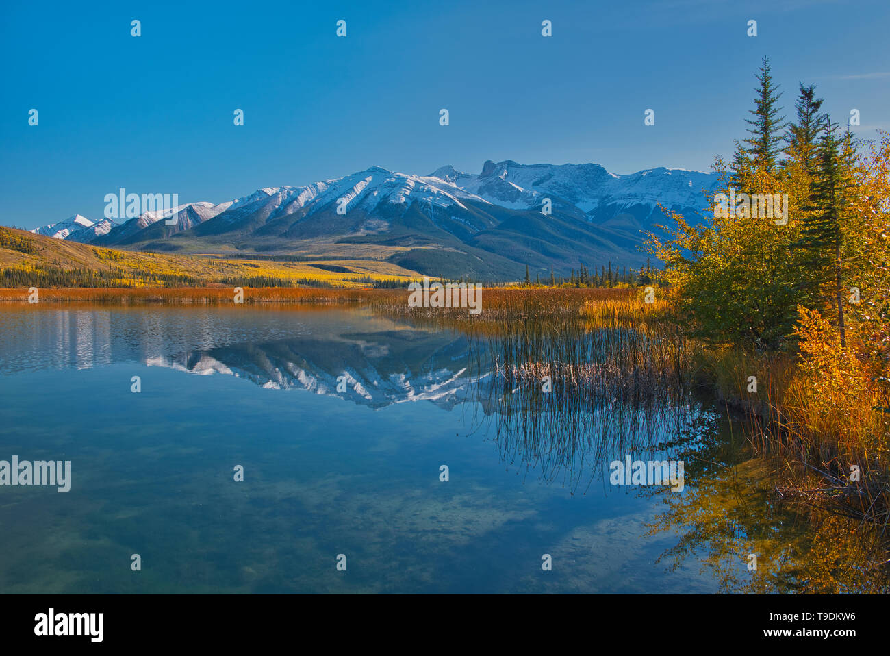 Talbot And Jasper Lakes High Resolution Stock Photography and Images ...