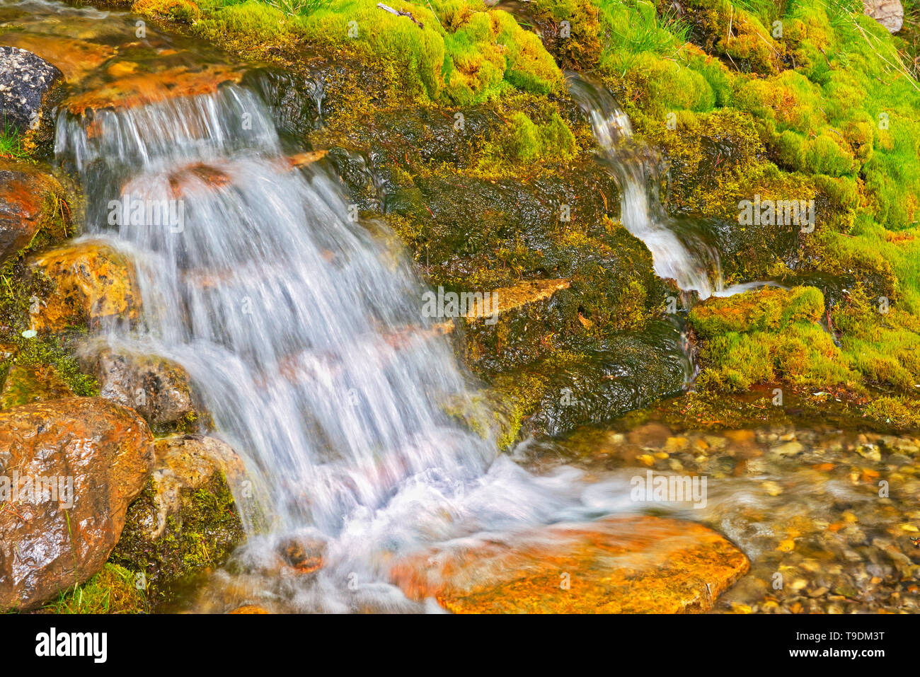 Creek and small waterfall along the Bow Valley Trail Banff National ...