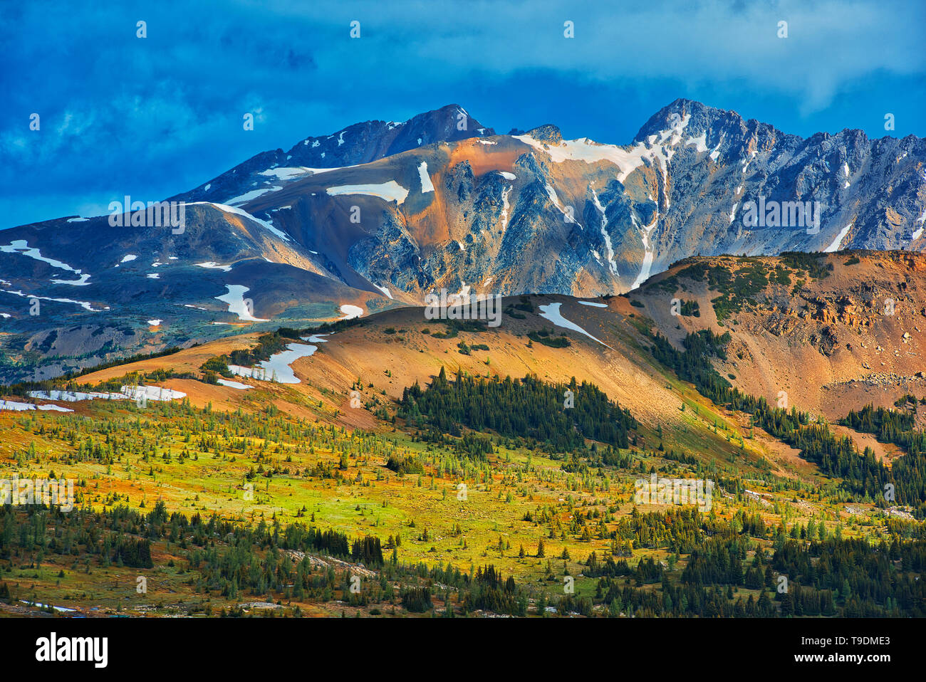The Alpine region at Sunshine Meadows. Canadian Rocky Mountains ...