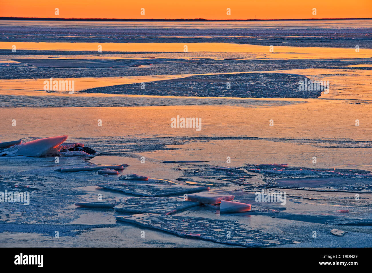 Balsam bay hi-res stock photography and images - Alamy