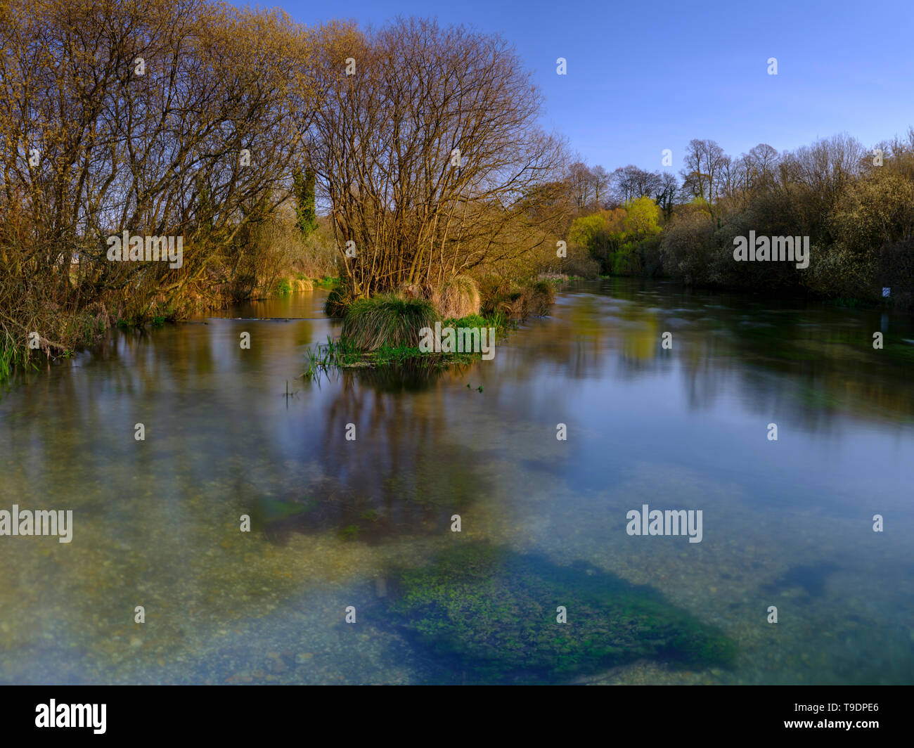 Itchen chalk stream spring hi-res stock photography and images - Alamy
