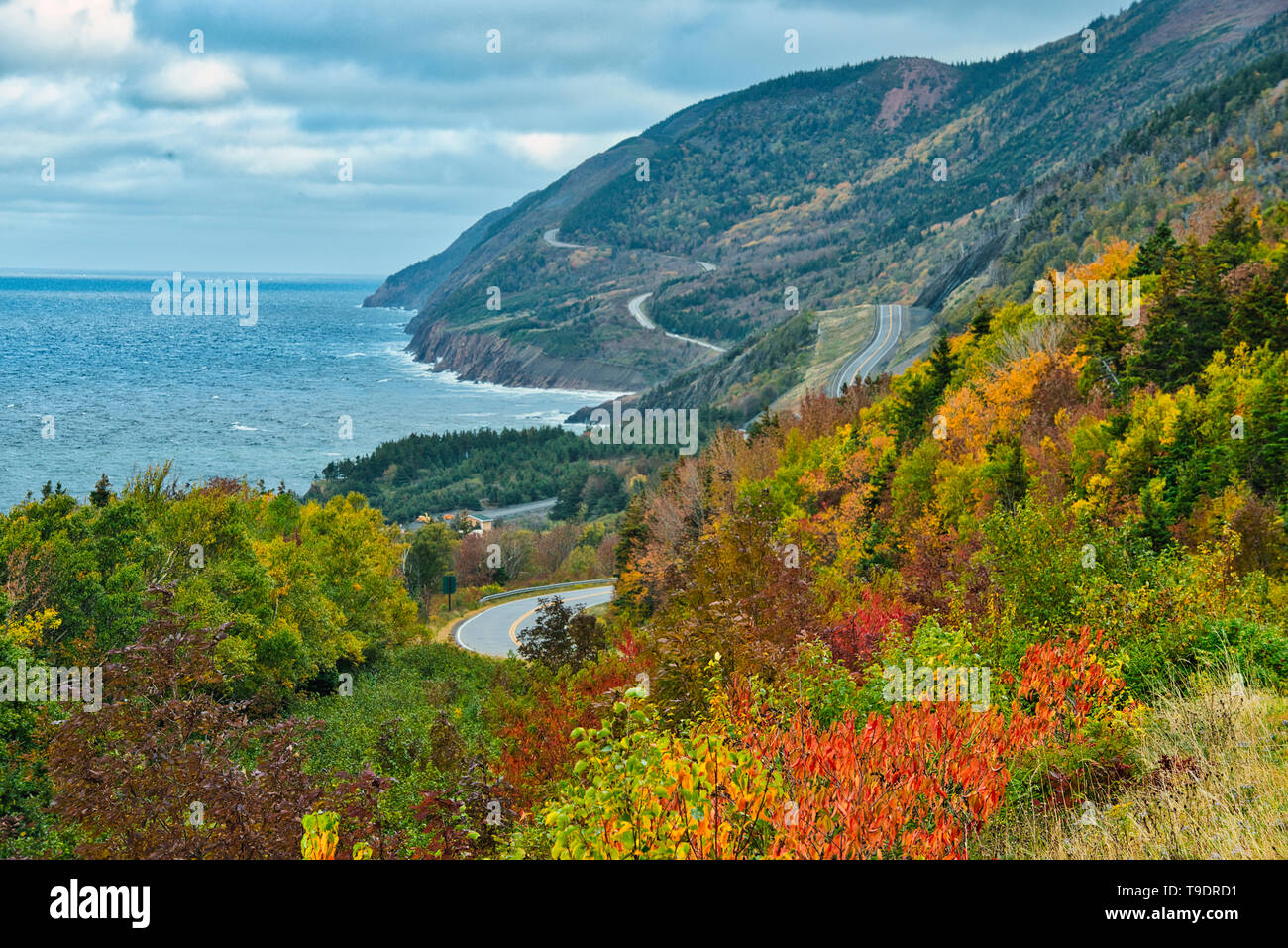 The Cabot Trail along the Gulf of St. Lawrence meanders through the Acadian forest in autumn ...