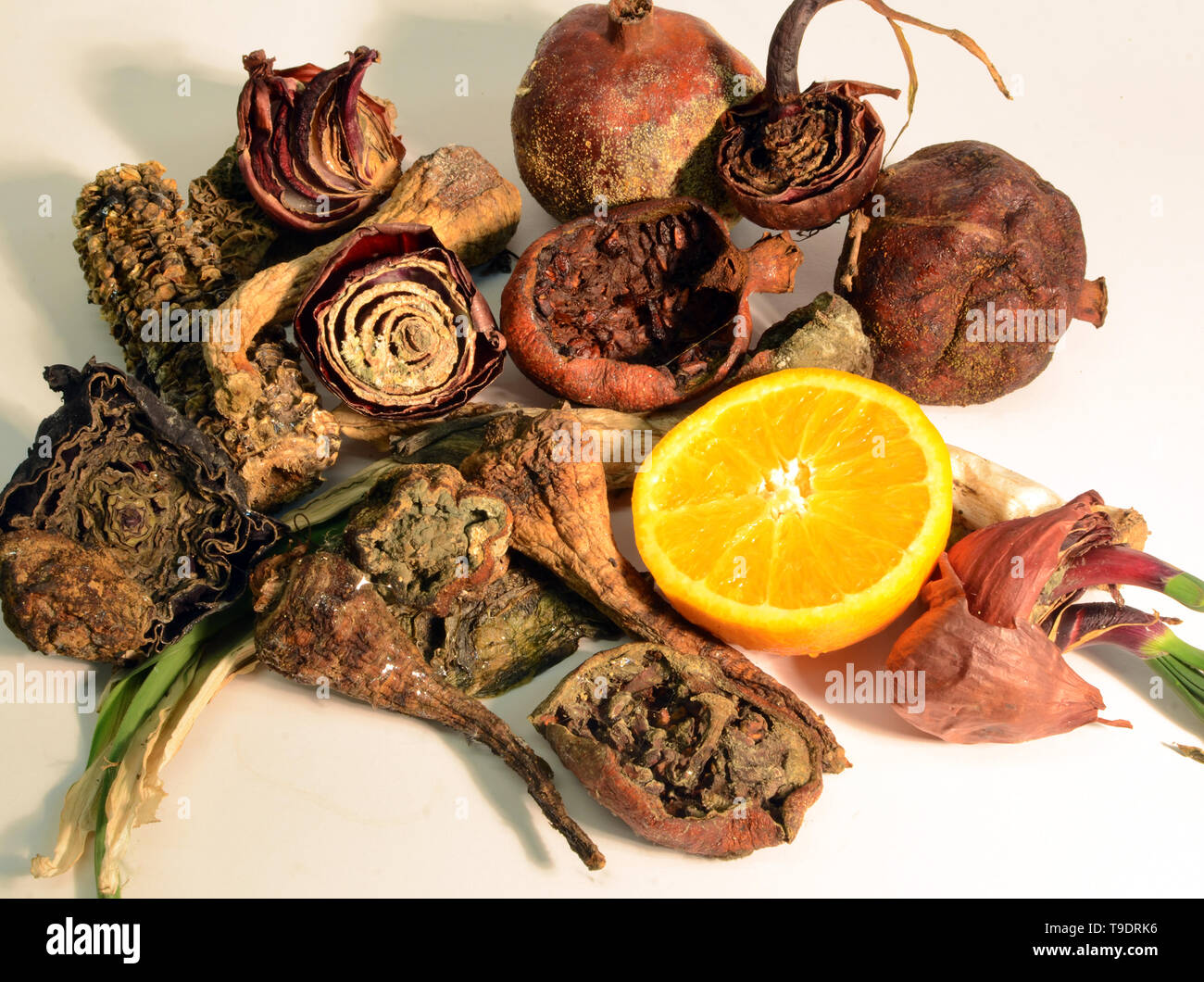 Fresh fruit for rotting vegetables hi-res stock photography and images ...