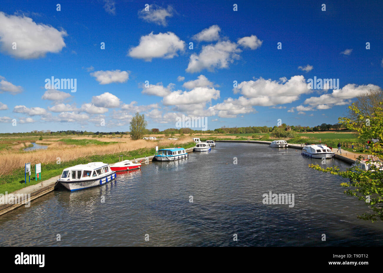 Boats moored on the River Ant on the Norfolk Broads upstream of Ludham ...