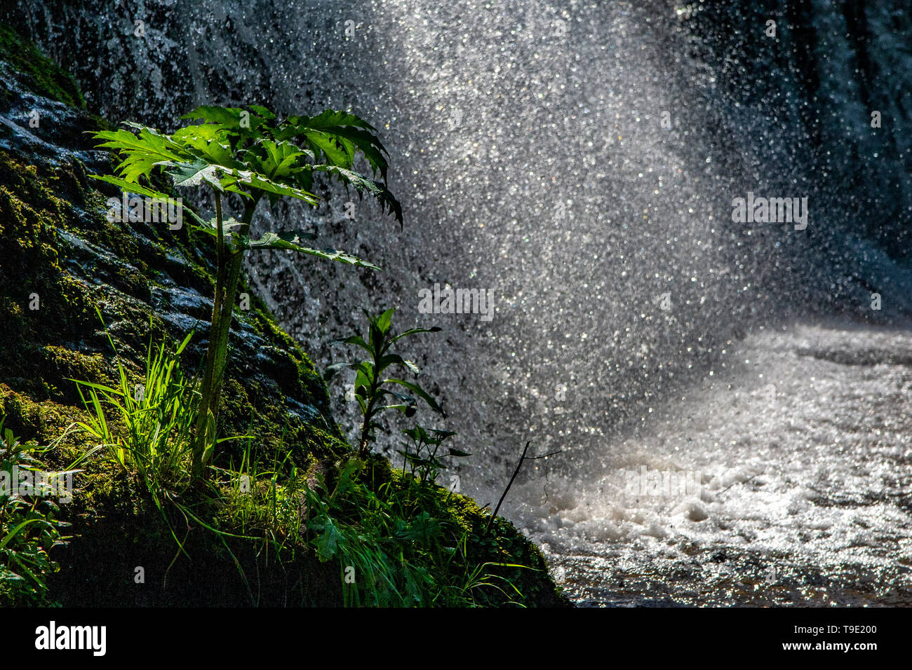 Miller row dean village hi-res stock photography and images - Alamy