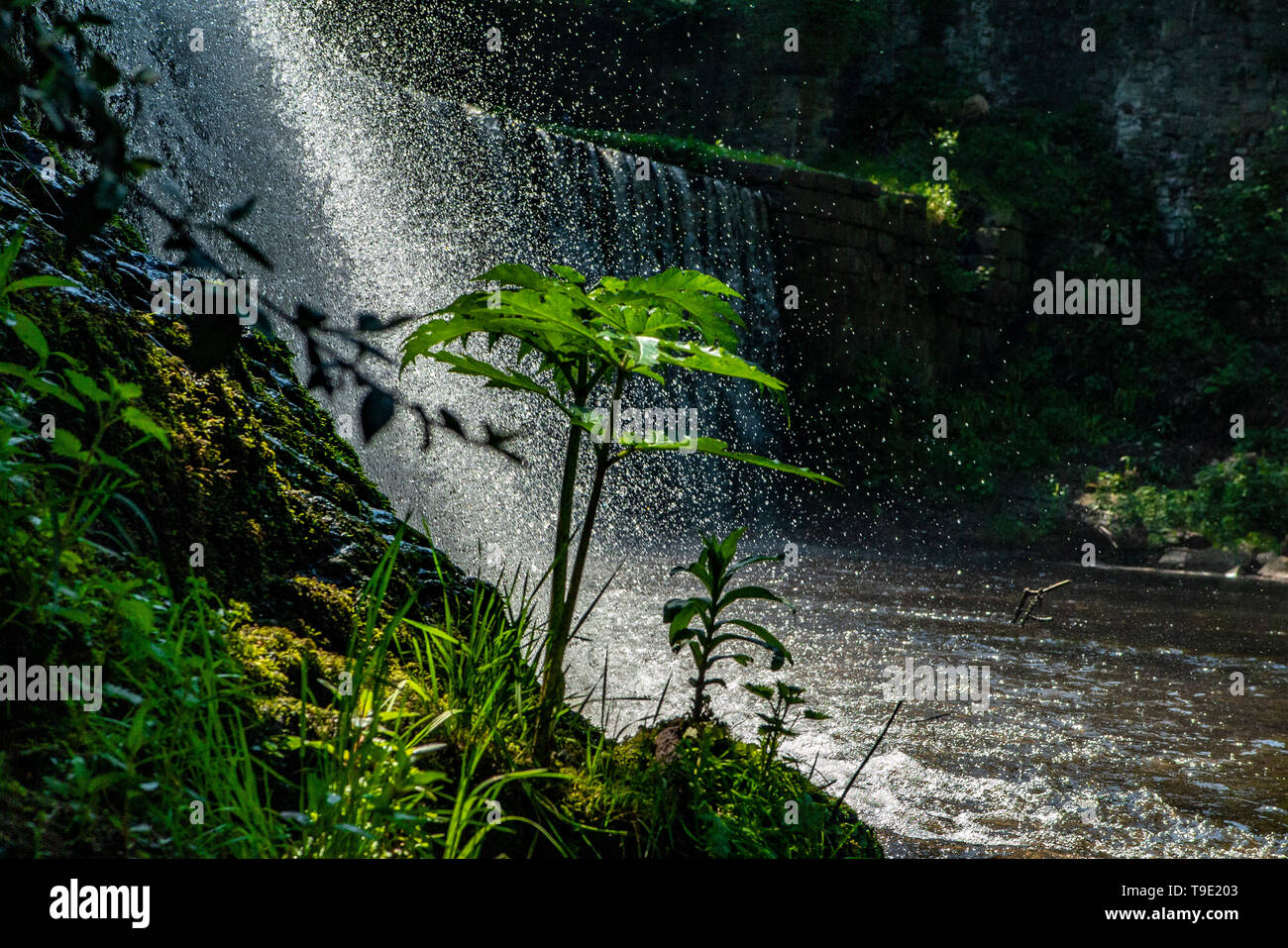 Miller row dean village hi-res stock photography and images - Alamy