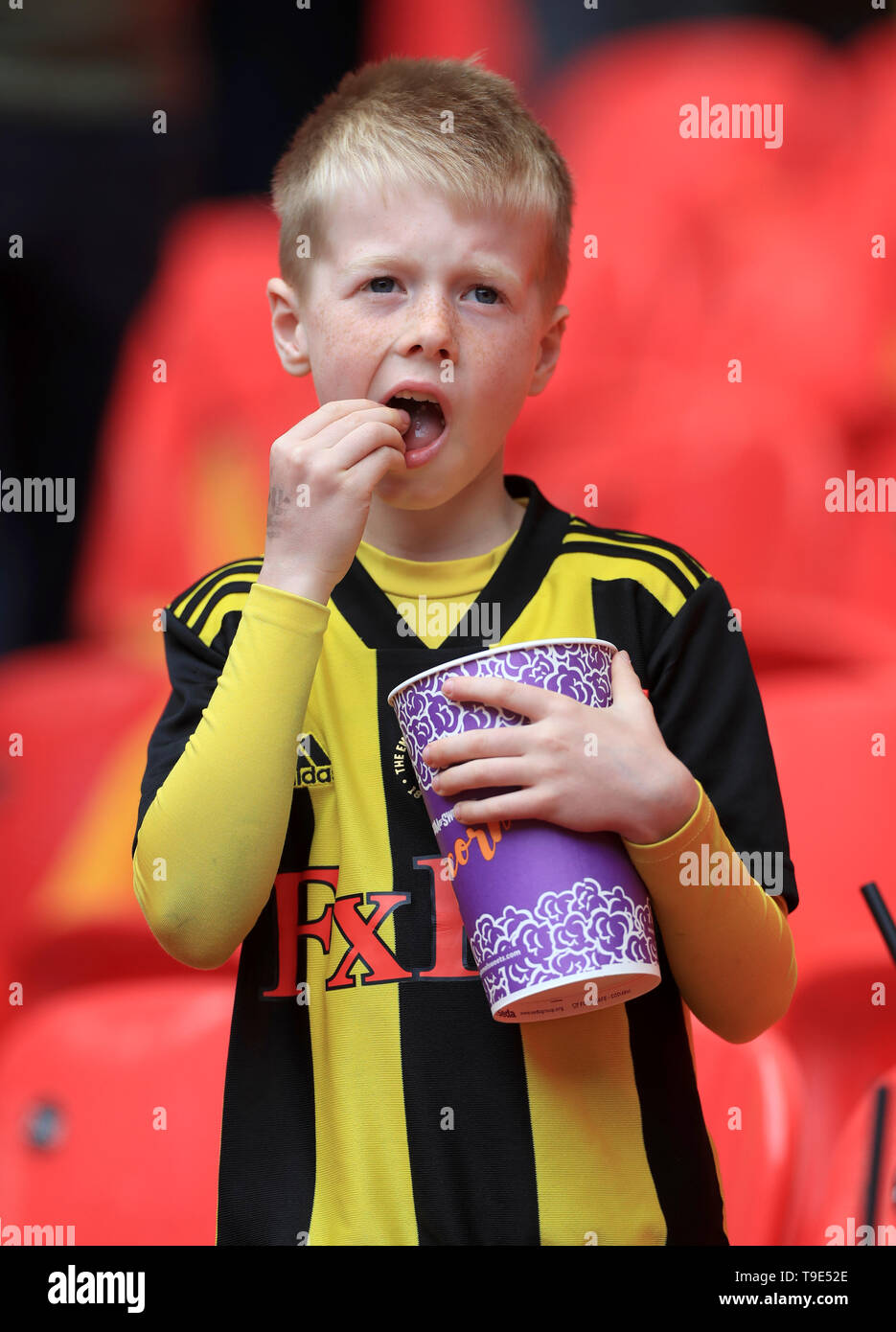 A young Watford fan in the stands prior to the FA Cup Final at Wembley ...