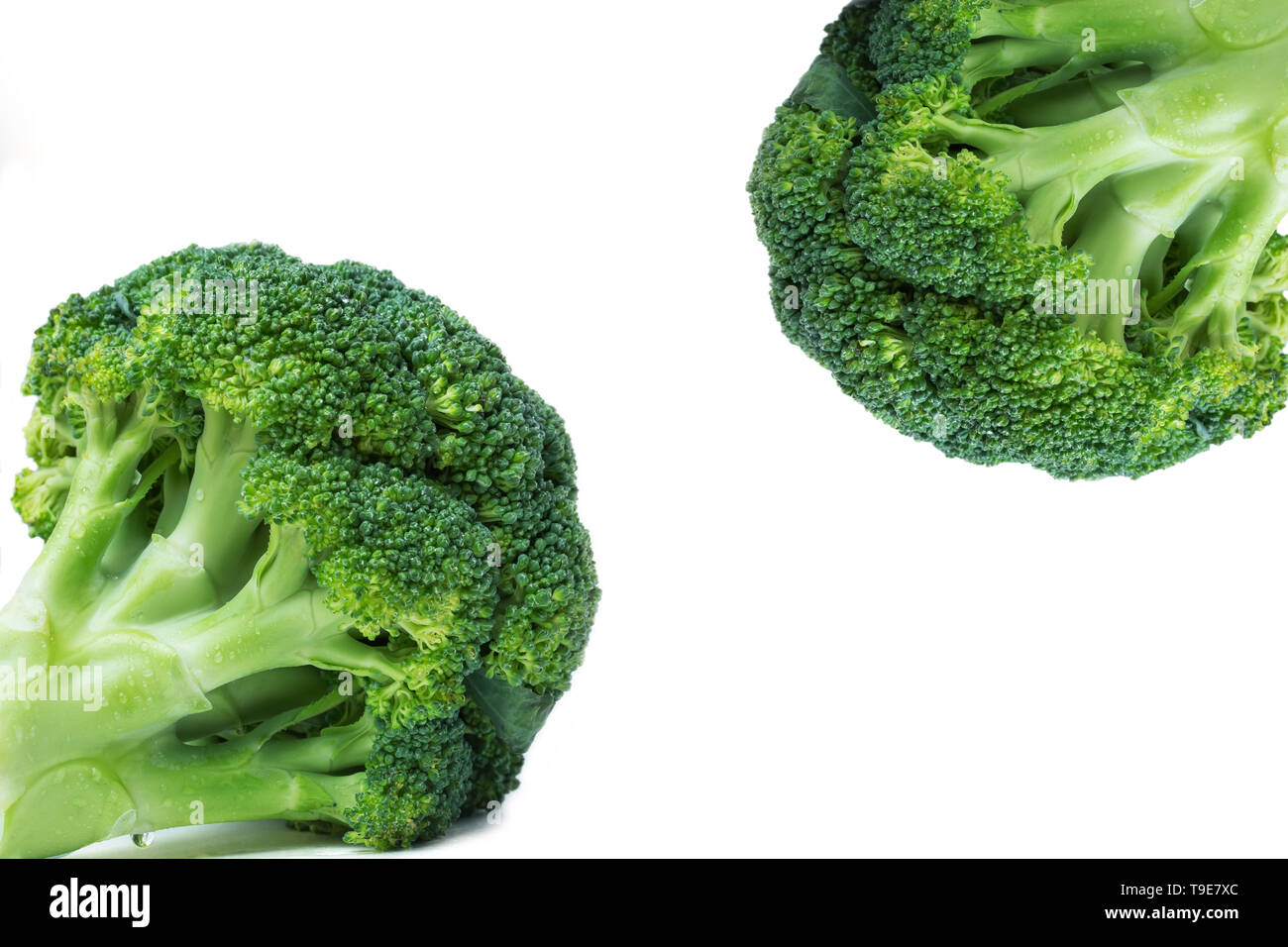 Fresh broccoli in two opposite corners, close-up, white background ...