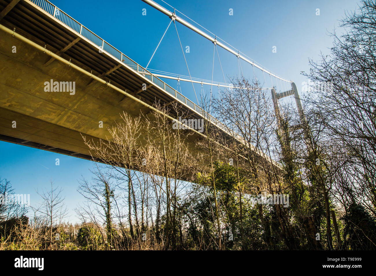 Humber Bridge bellow Yorkshire England Raymond Boswell Stock Photo - Alamy