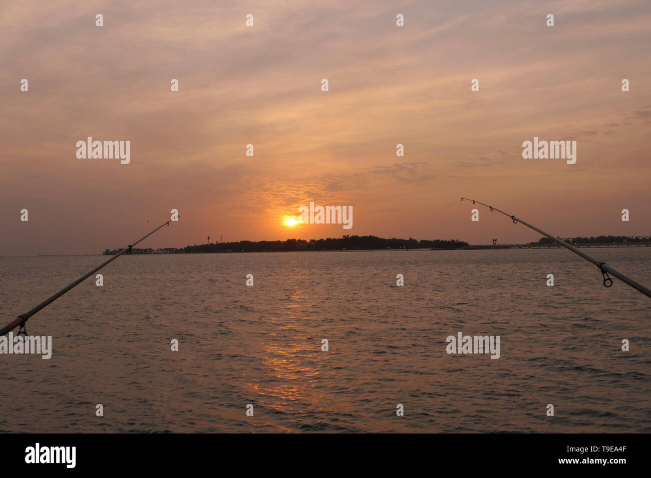 Beautiful coast in saudi arabia hi-res stock photography and images - Alamy