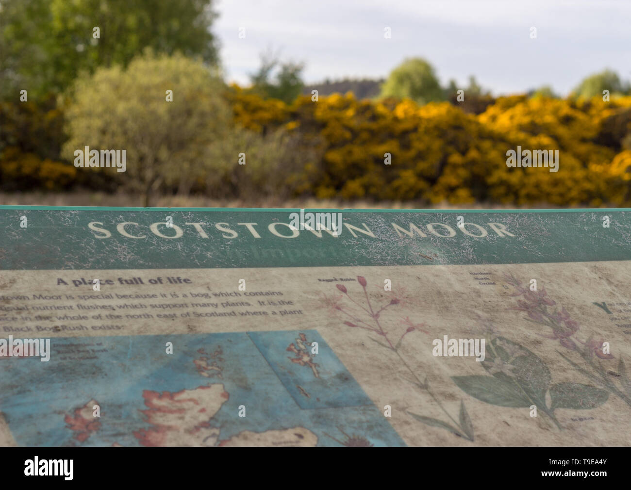 Map of scotstown hi-res stock photography and images - Alamy