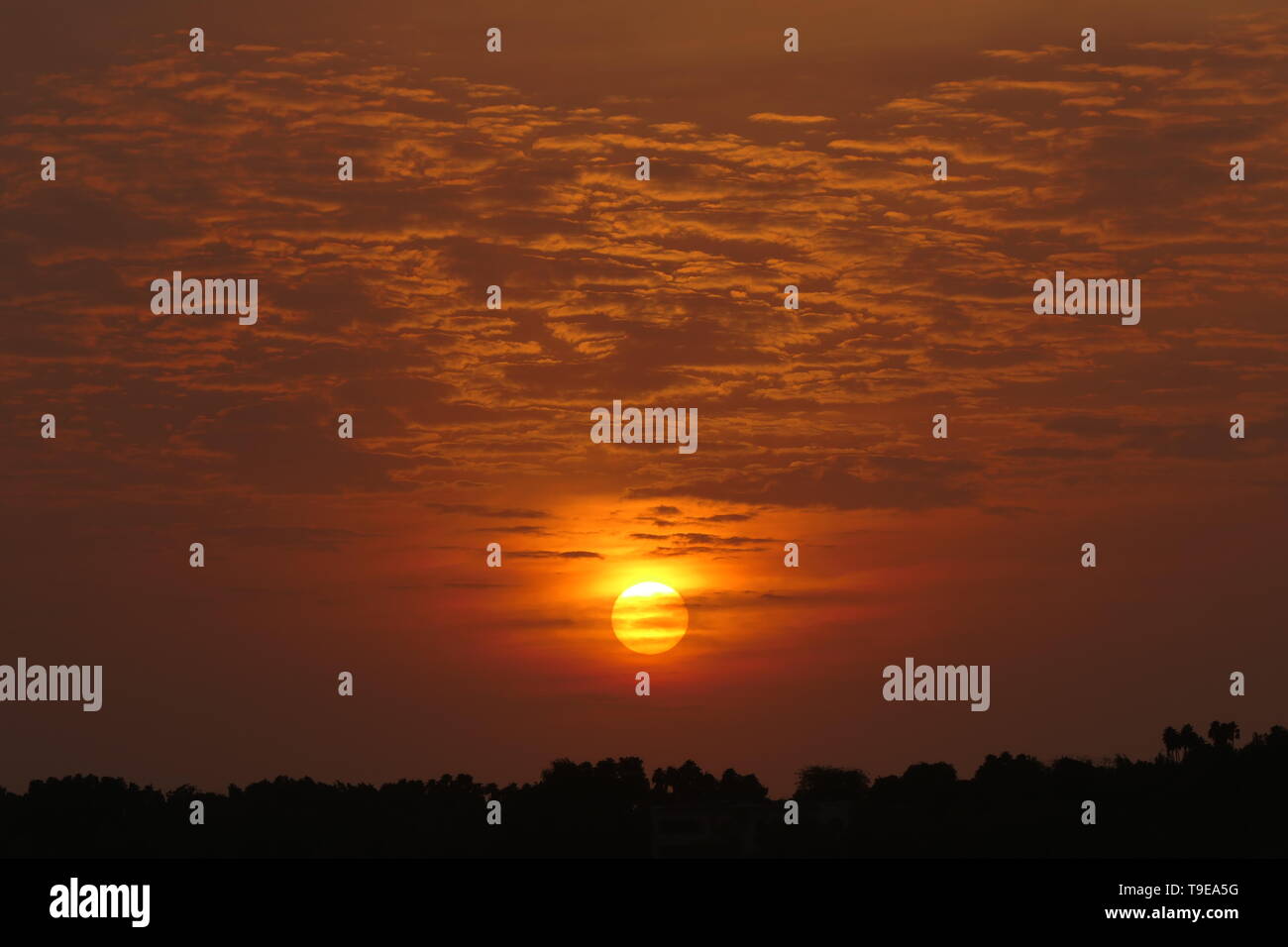 Natural and beautiful sunset with trees in the background Stock Photo ...