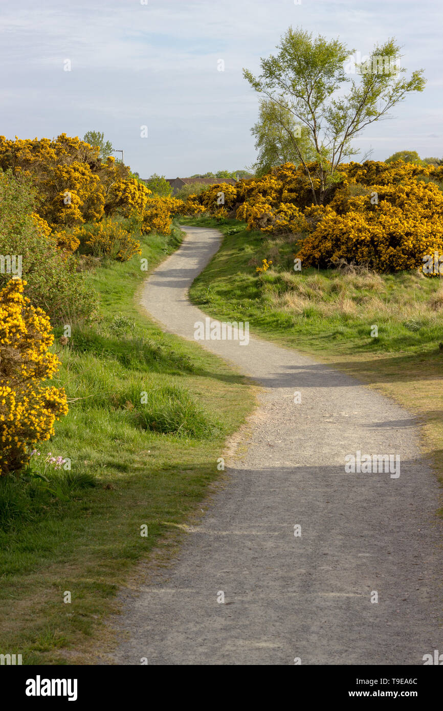 Scotstown moor aberdeen hi-res stock photography and images - Alamy