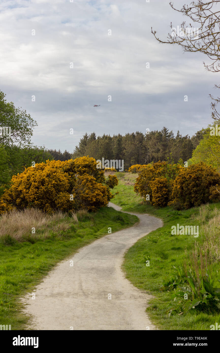 Scotstown moor aberdeen hi-res stock photography and images - Alamy