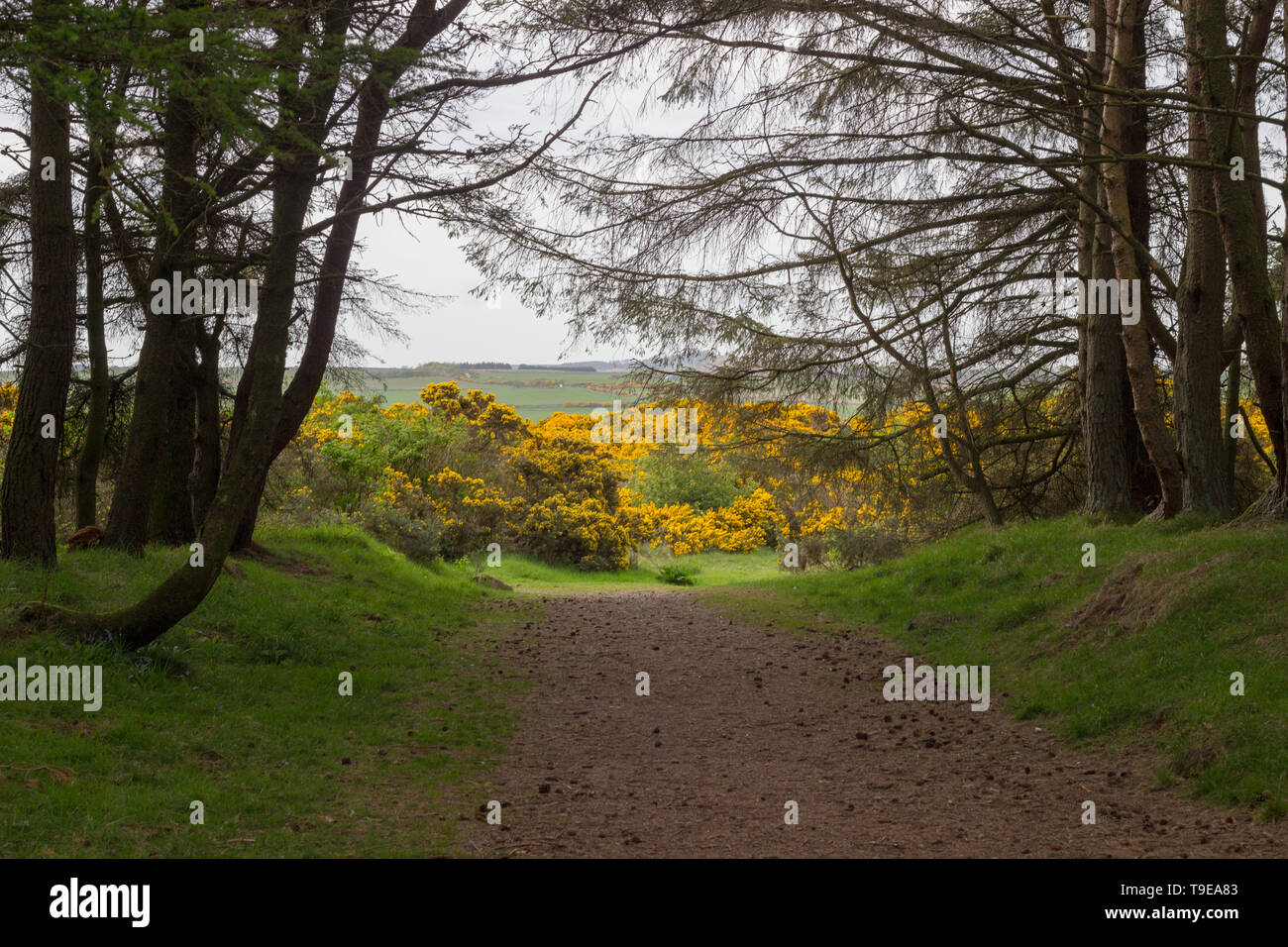 Aberdeen scotland path scotland hi-res stock photography and images - Alamy