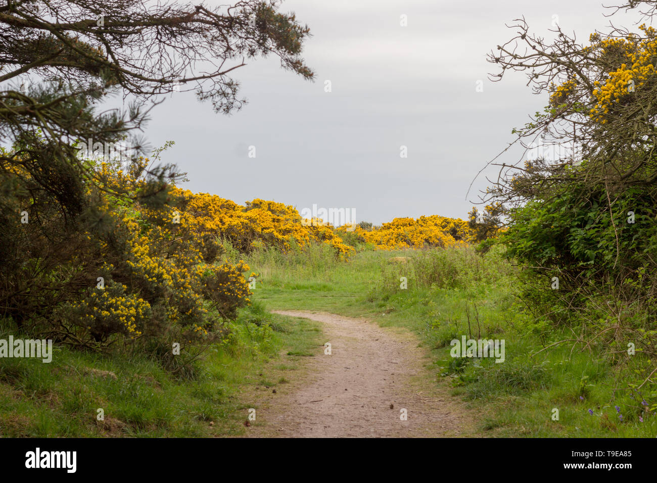 Aberdeen scotland path scotland hi-res stock photography and images - Alamy
