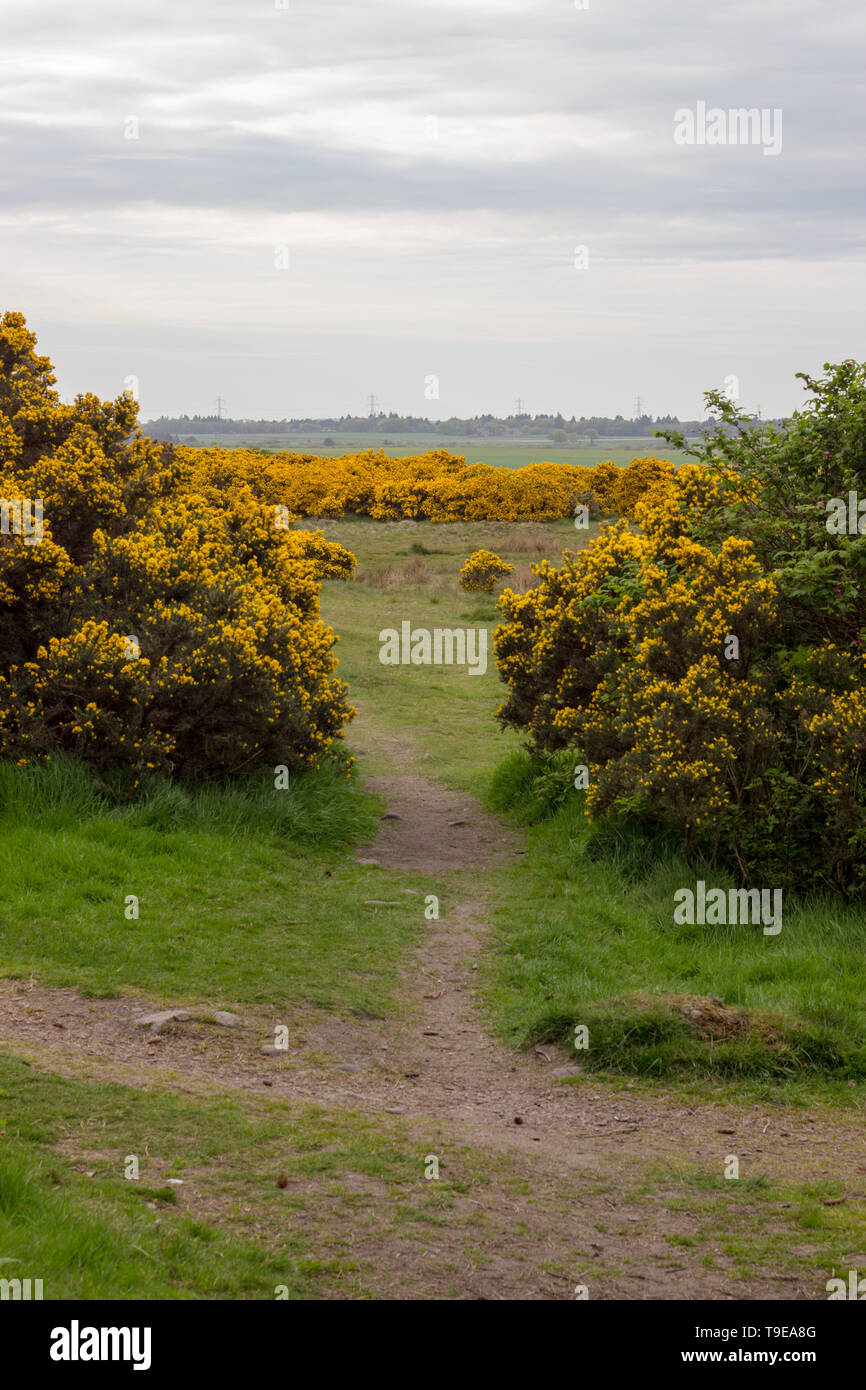 Aberdeen scotland path scotland hi-res stock photography and images - Alamy