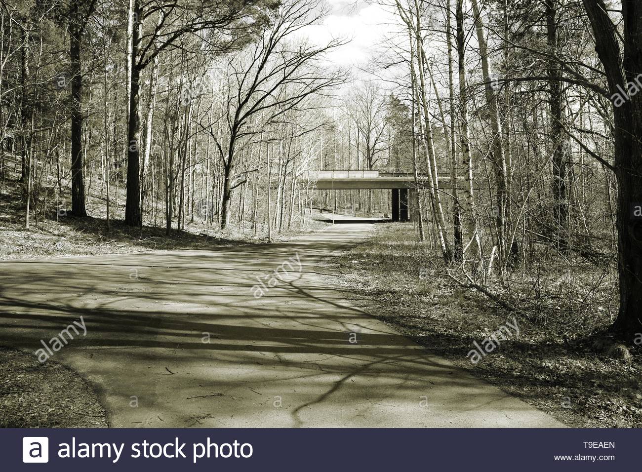 Road Split Directions Stock Photos & Road Split Directions Stock Images ...