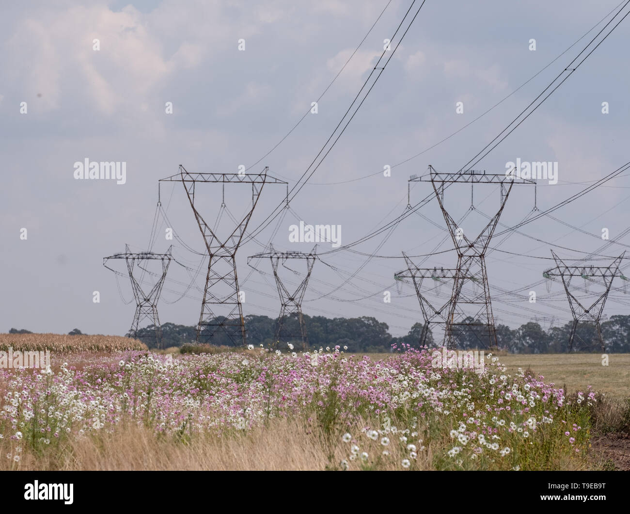 Overhead reduction hi-res stock photography and images - Alamy