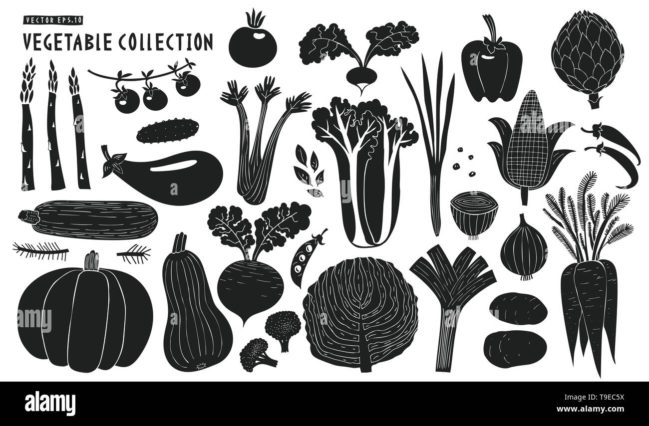 Scandinavian hand drawn vegetables. Monochrome graphic. Fruits ...
